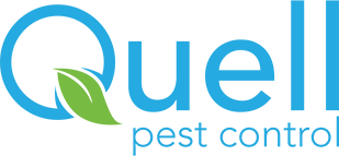 High-Quality Pest Control | Quell Pest Control